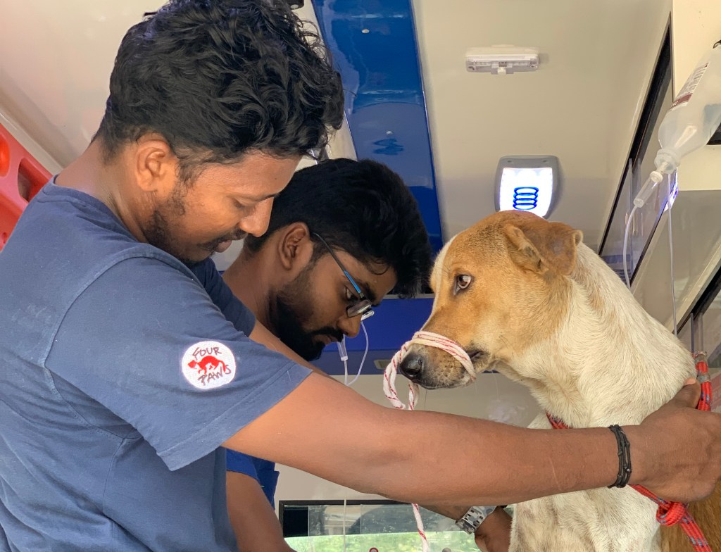 Shero the hero | Forest Voices of India